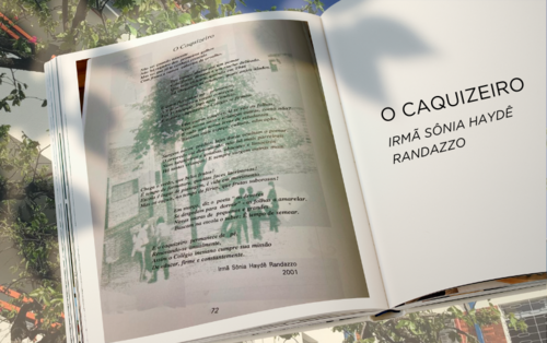 O Caquizeiro - Irmã Sônia Haydê Randazzo - Colégio Santa Inês